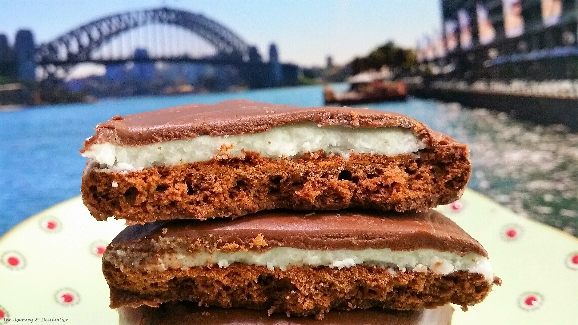 Mint Slice Chocolate Biscuits from Australia – The Journey & Destination