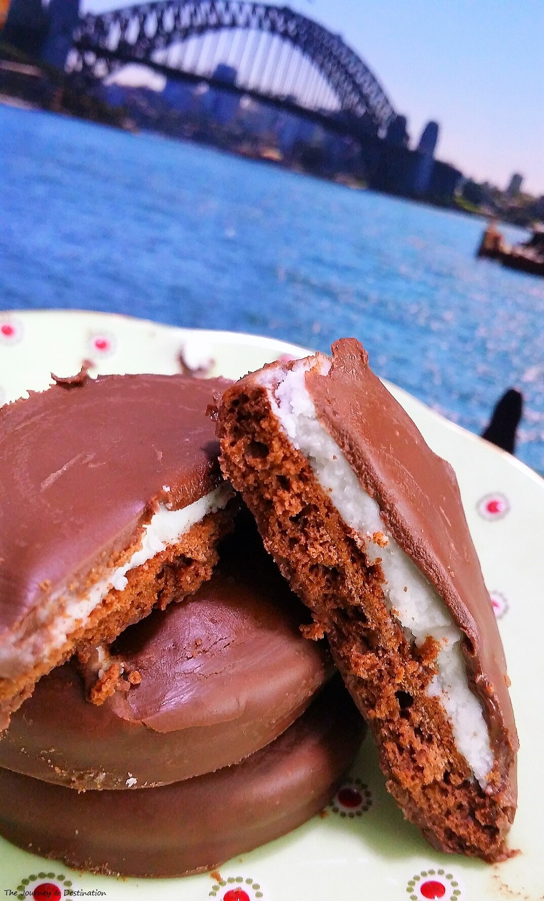 Mint Slice Chocolate Biscuits from Australia – The Journey & Destination